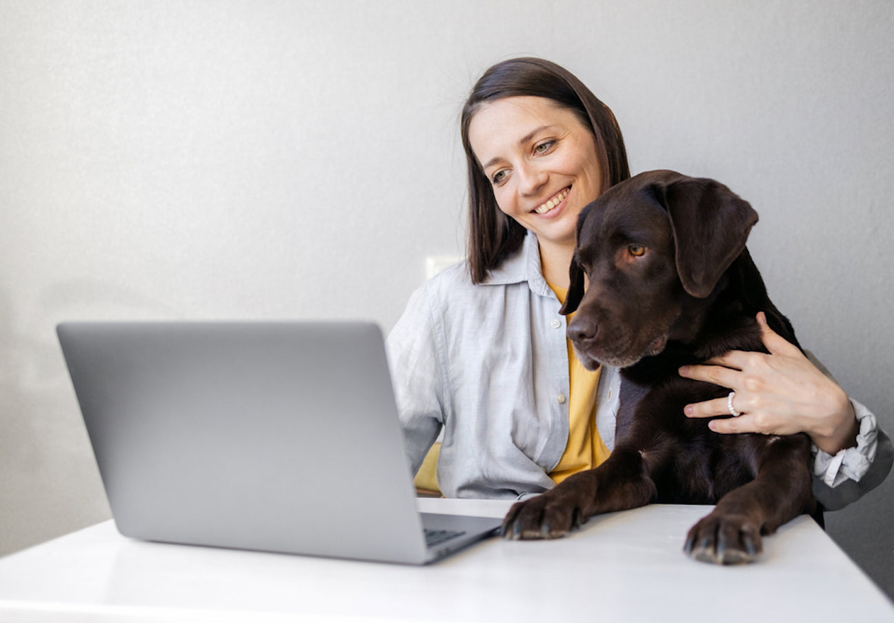 Where To Fill Pet Prescriptions: Online And In-Store Options | Dutch