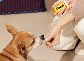 Purina Pro Plan Veterinary Supplements FortiFlora SA Synbiotic Action ...