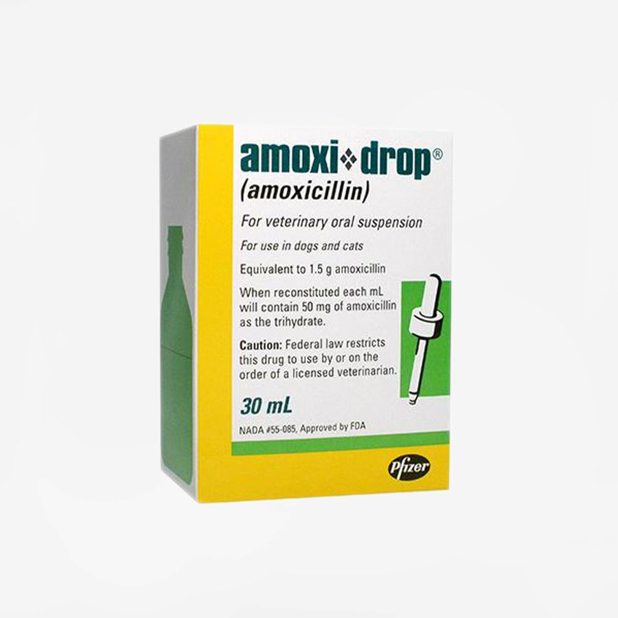 Amoxi-Drop 50 mg/ml Oral Suspension (Rx) | Dutch