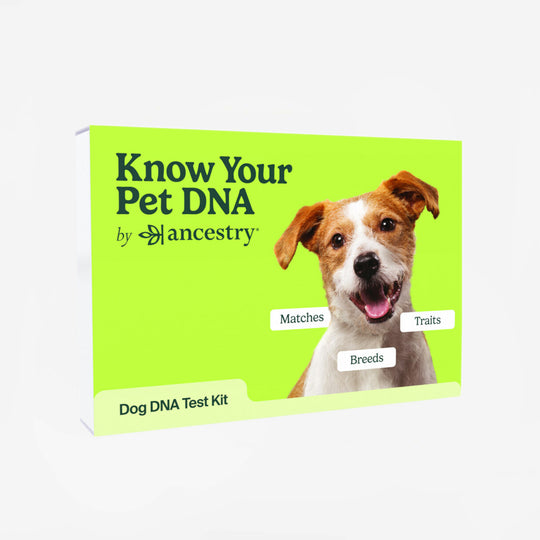 Ancestry® Know Your Pet DNA | Dutch