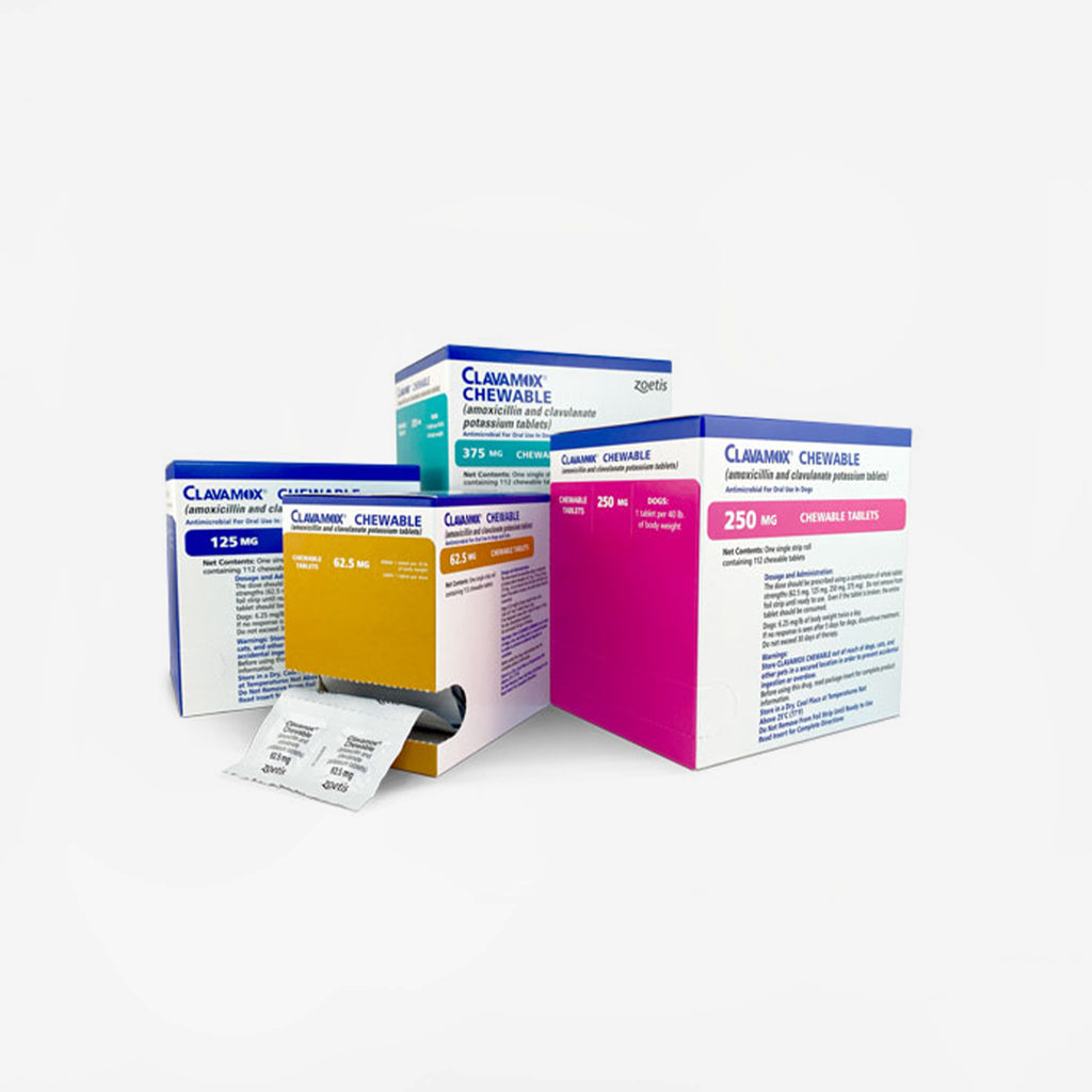 Clavamox (chewable tablet) (Rx) | Dutch
