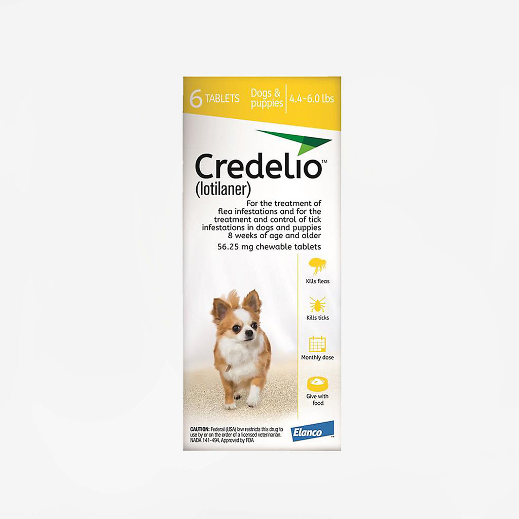 Credelio - 6 months (Rx) | Dutch