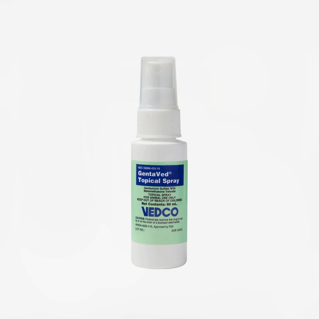 Gentamicin/Betamethasone Topical Spray (Rx) | Dutch