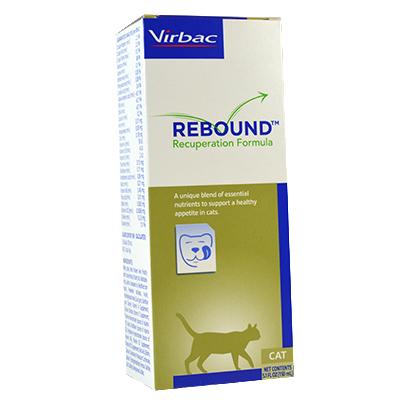 Rebound Recuperation for Cats | Dutch