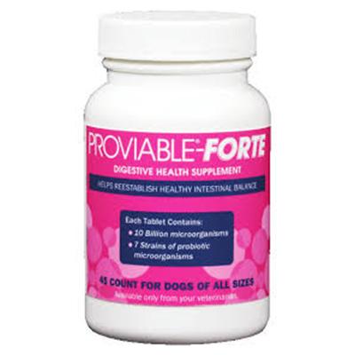 Proviable Forte Chewable Tablets for Dogs | Dutch