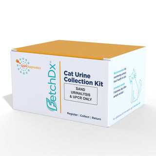 Cat Urinalysis Wellness Kit (UA with sedimentation analysis and UPCR ...