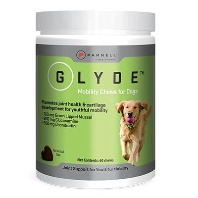 Glyde Mobility Chews for Dogs | Dutch
