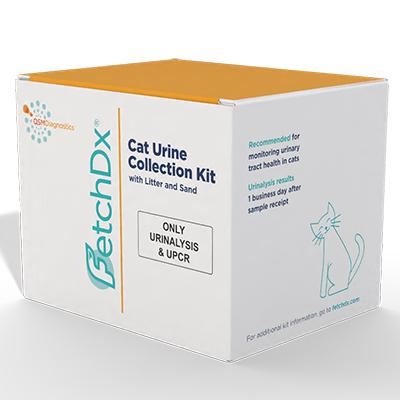 Cat Urinalysis Wellness Kit (UA with sedimentation analysis and UPCR ...