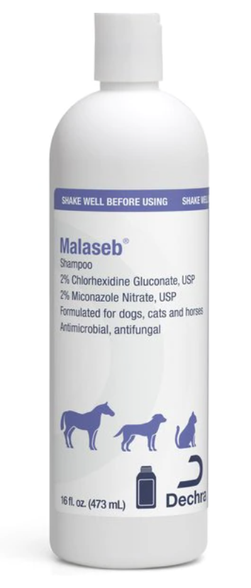 Malaseb Shampoo | Dutch