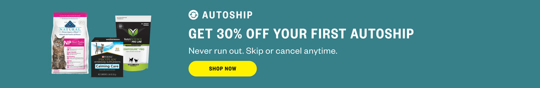 Anxiety Medication for Cats | Dutch