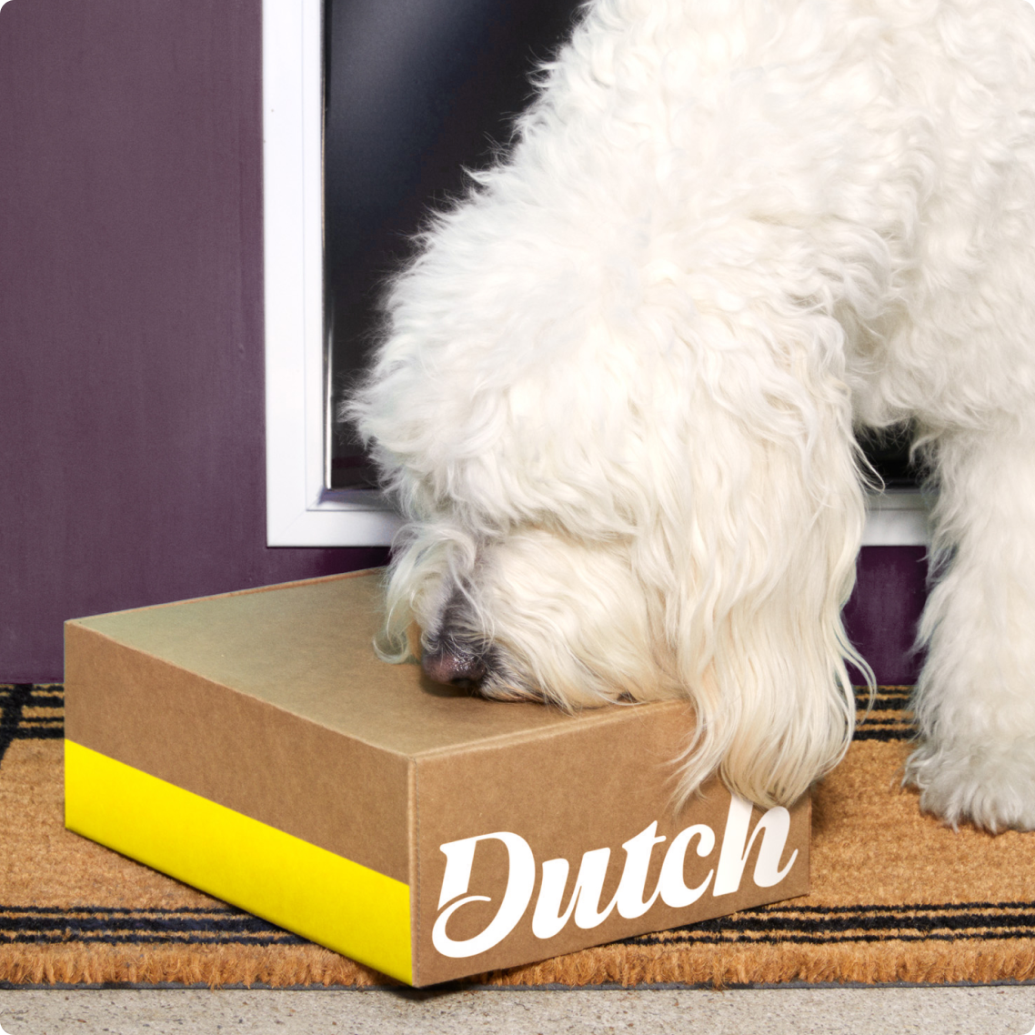 Unlimited Vet Advice - 2-Year Membership | Dutch