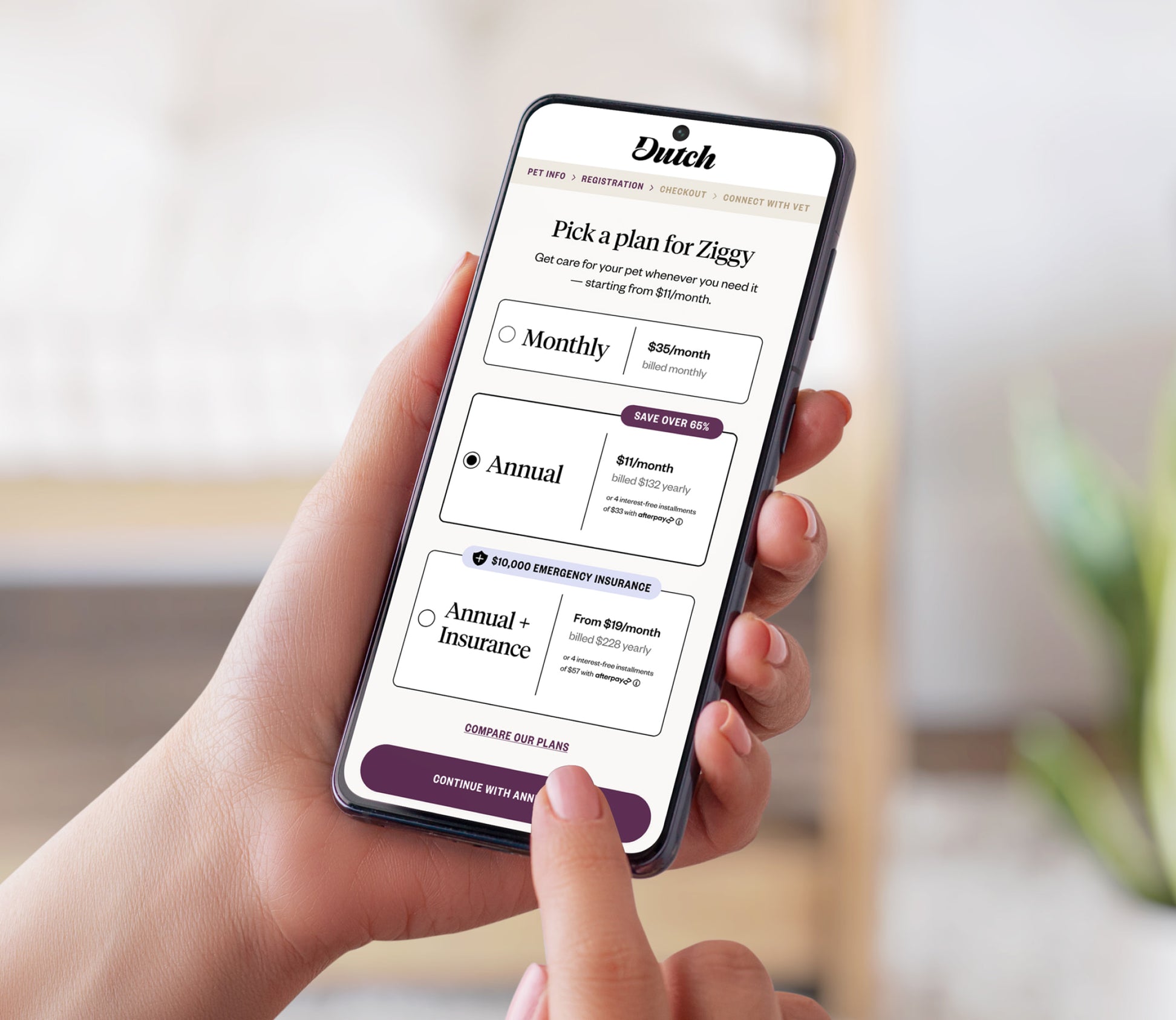 How Online Vet Care Works | Dutch