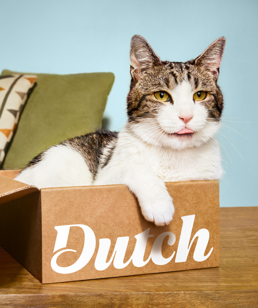 Cat Diet and nutrition: Online Cat Diet: Suggestions for a Healthy Cat ...