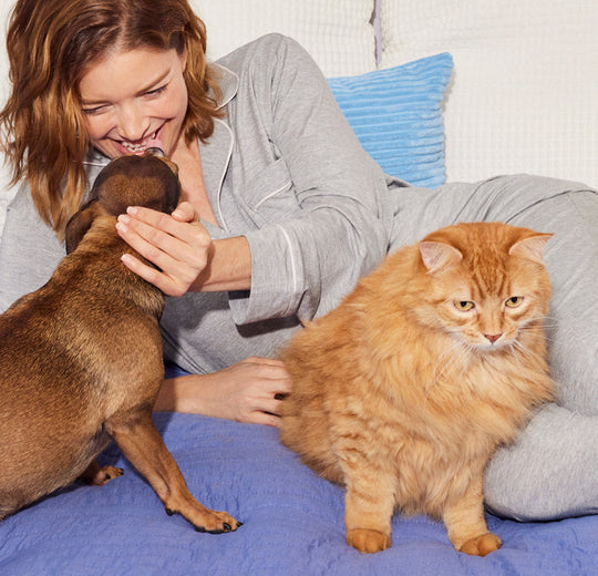 Emergency Pet Insurance & Virtual Care | Dutch