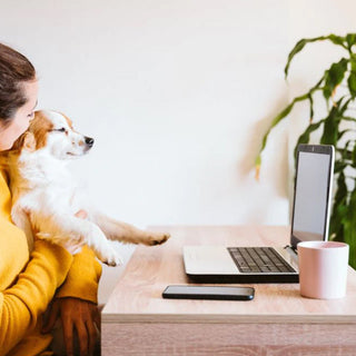 Why Do Cats Need To Scratch? | Dutch