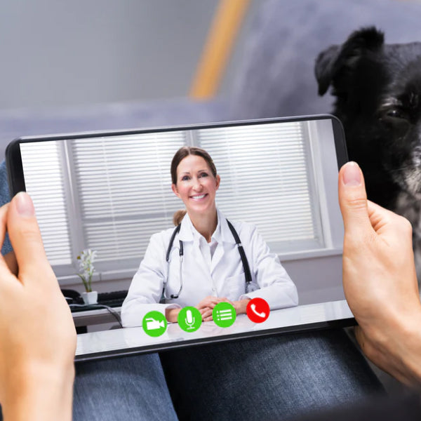 10 Double-Coated Dog Breeds: Grooming & Care | Dutch