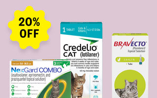 MalAcetic Ultra Otic Cleanser | Dutch