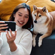 DA2PP Vaccine For Dogs (FAQs) | Dutch