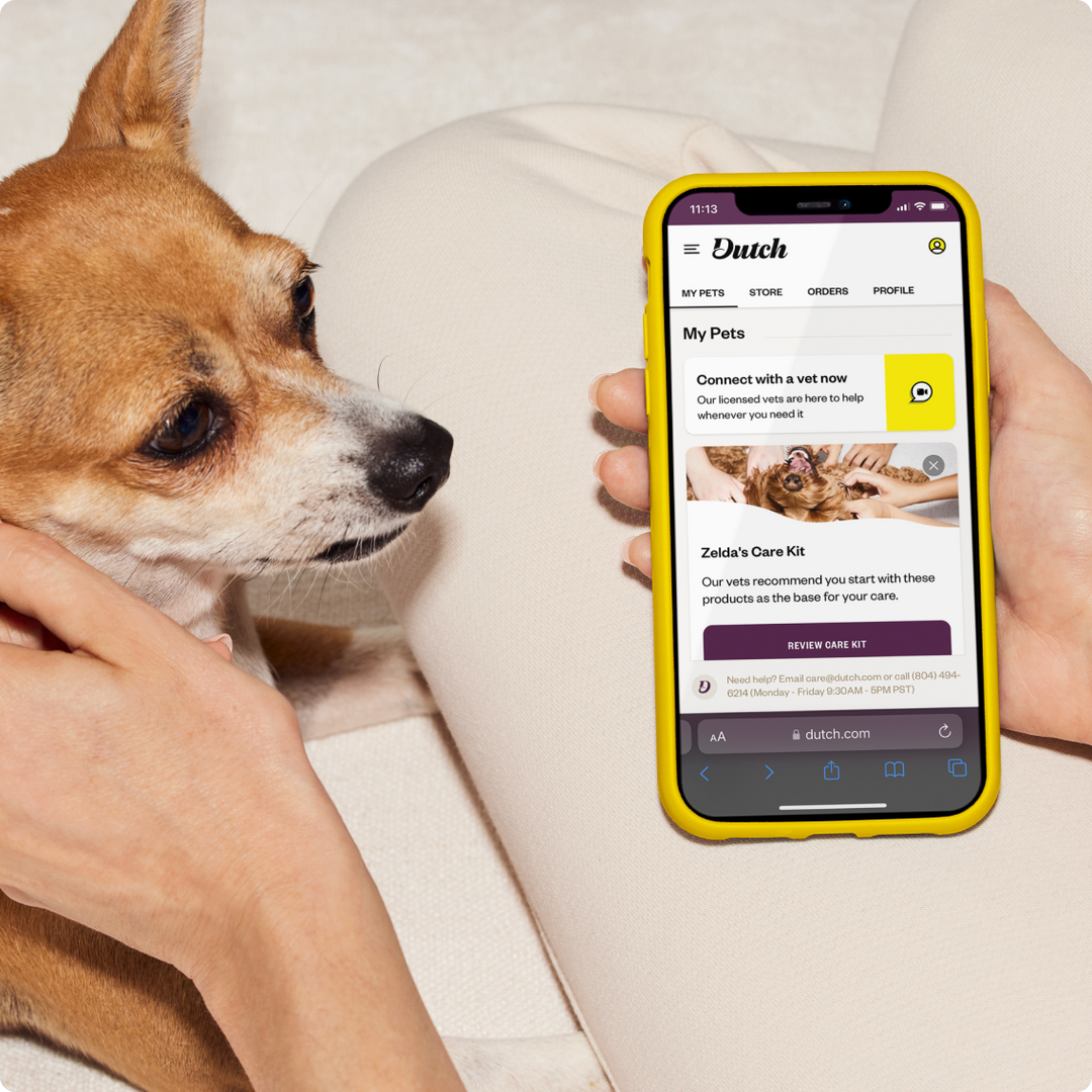 Emergency Pet Insurance & Virtual Care | Dutch