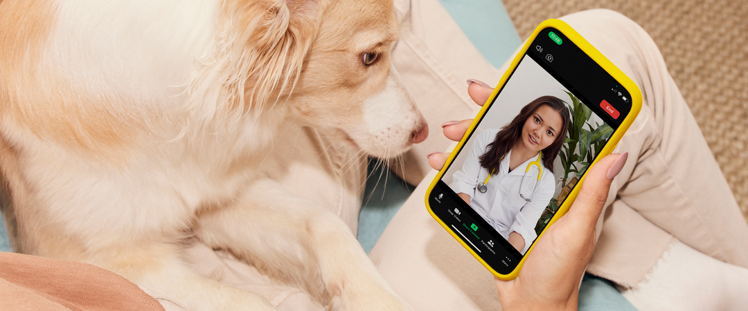 Hawaii Relief | Dutch