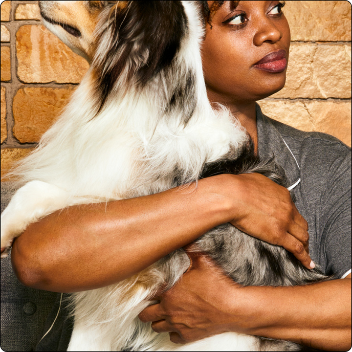 Dog Trembling: Online Dog Shaking and Trembling Treatment Suggestions ...