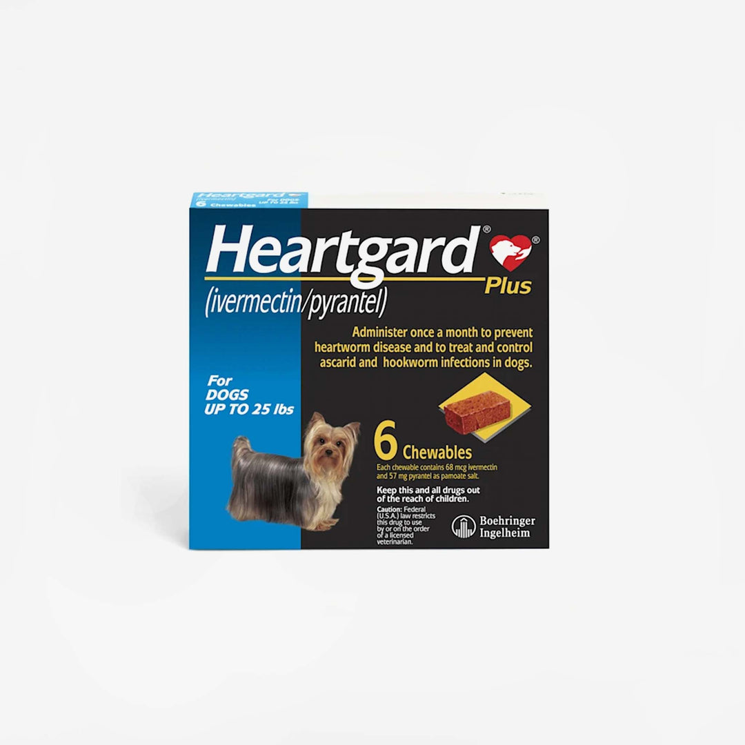 Heartgard Plus - 6 chews (Rx) | Dutch